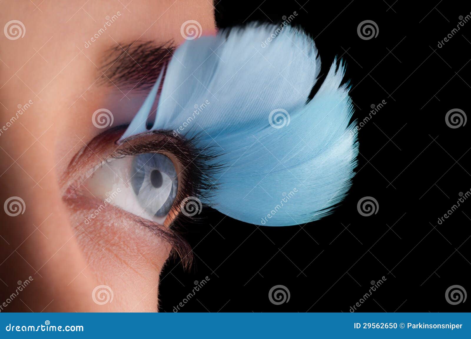 Fake Eyelashes stock photo. Image of high, eyelid, looking - 29562650