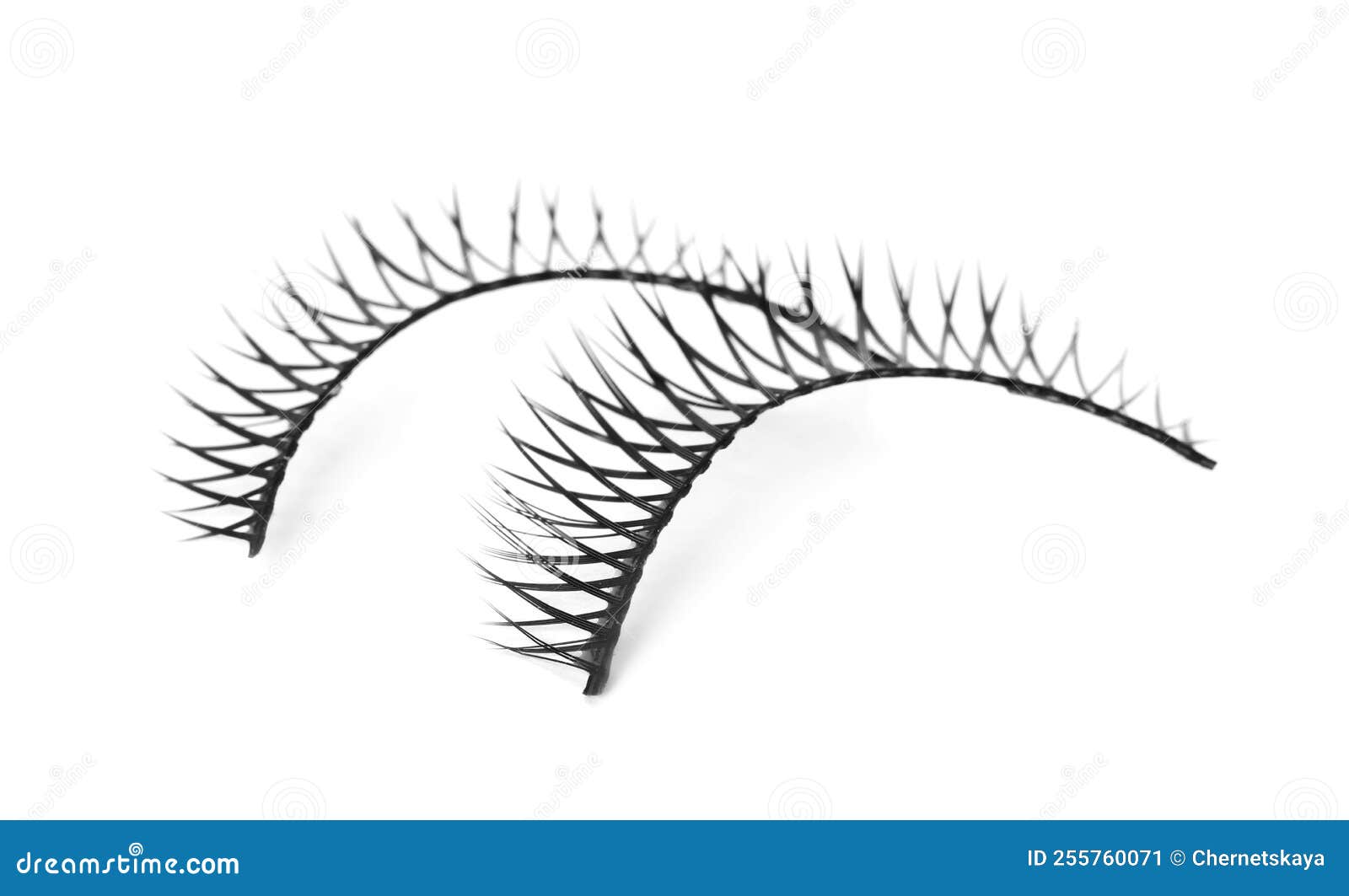 Fake Eyelashes on White Background. Makeup Product Stock Illustration ...
