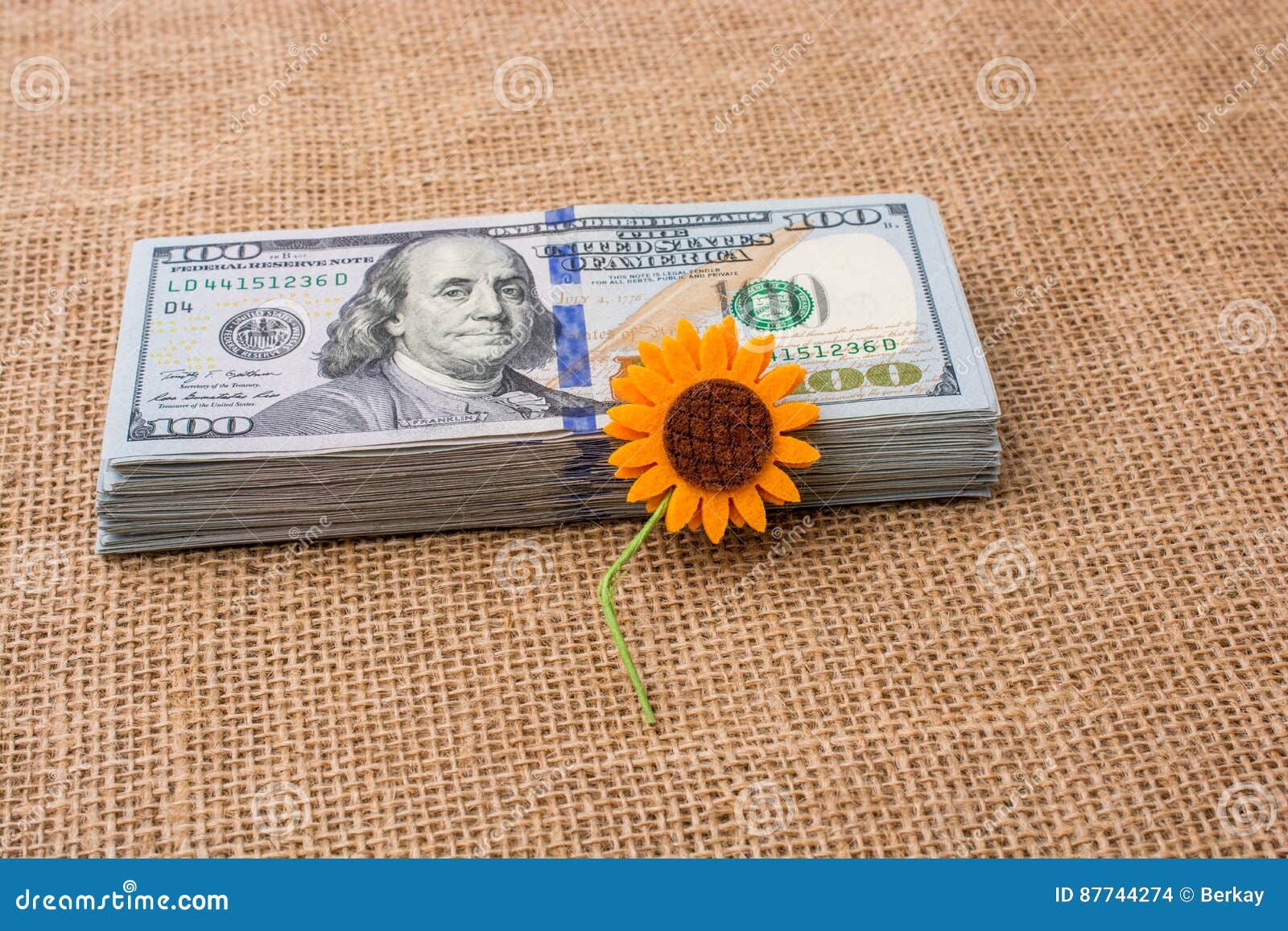 Fake Flower on the Banknote Bundle of US Dollar Stock Photo - Image of ...