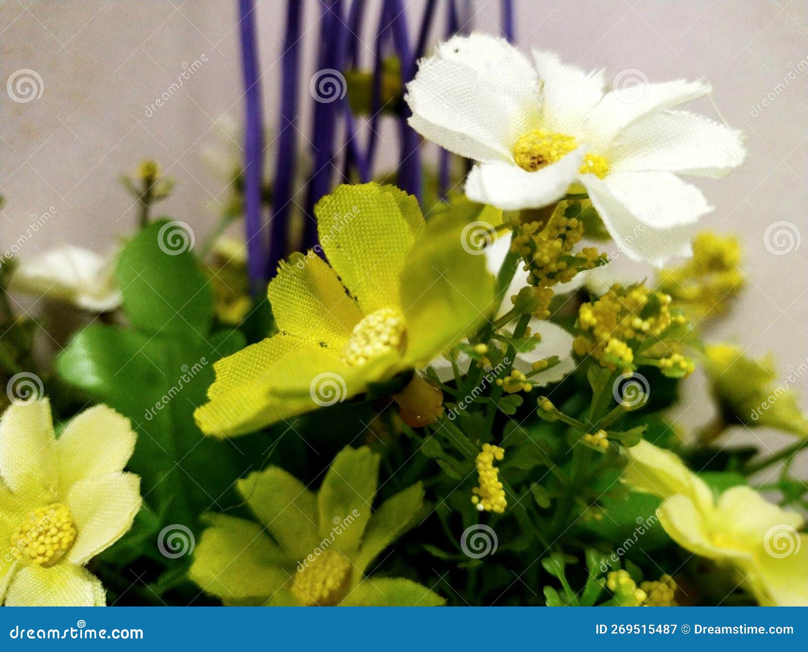 Fake flower in restroom stock image. Image of fake, flower - 269515487