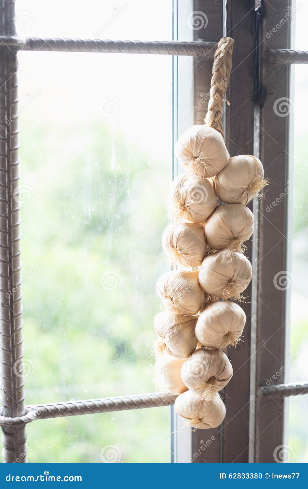 Fake garlic. stock photo. Image of ripe, cloves, glass - 62833380
