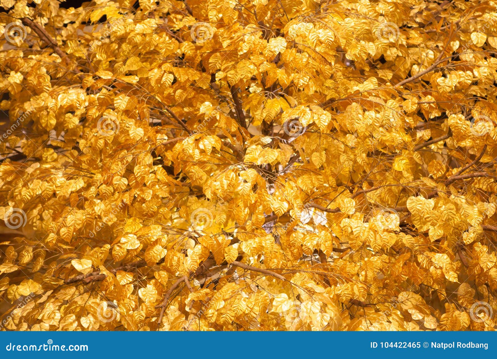 Fake Golden Leaf on Tree Background Stock Image - Image of background ...