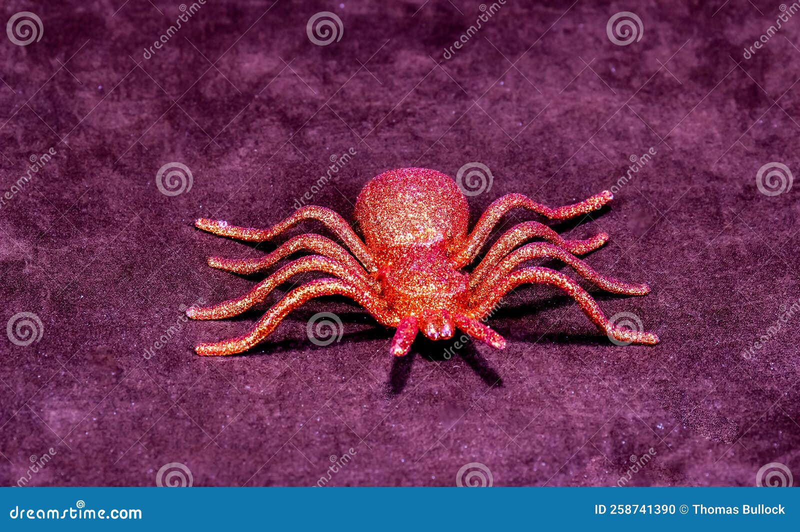 Fake Spider with Eight Legs Stock Photo - Image of golden, scary: 258741390