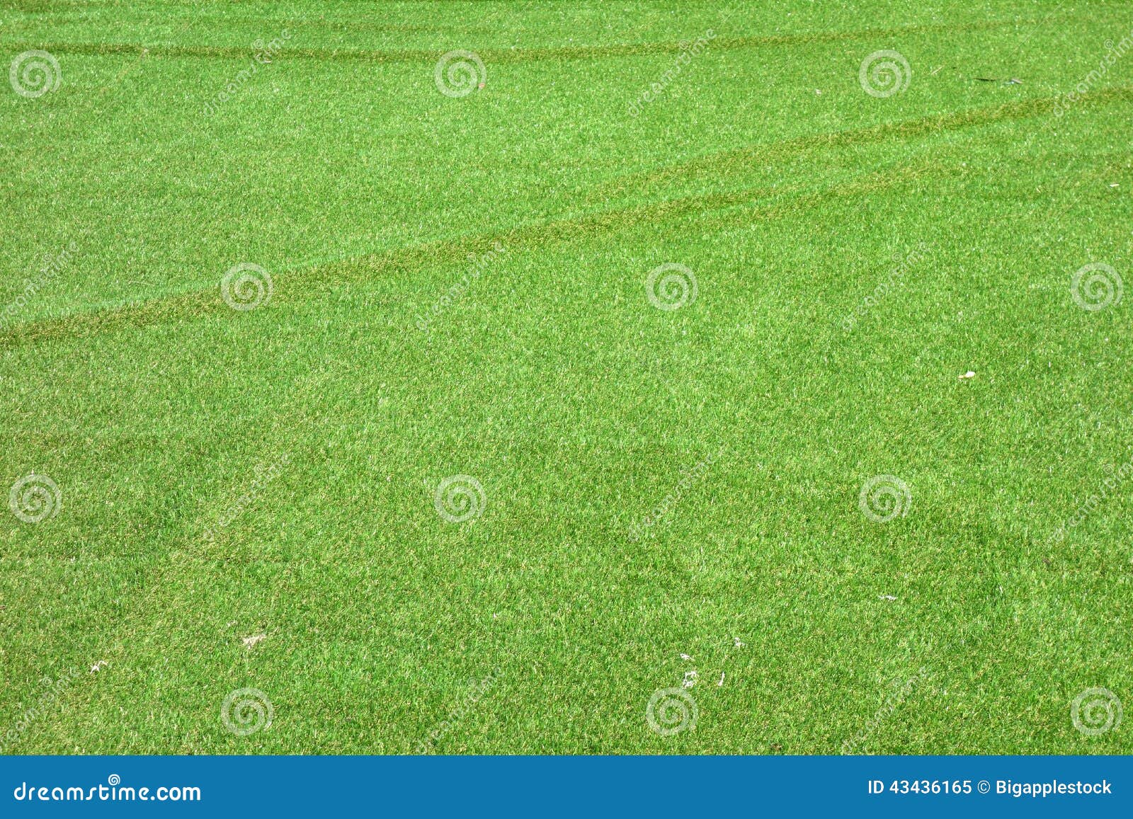 Fake Grass Texture Stock Image | CartoonDealer.com #23467615
