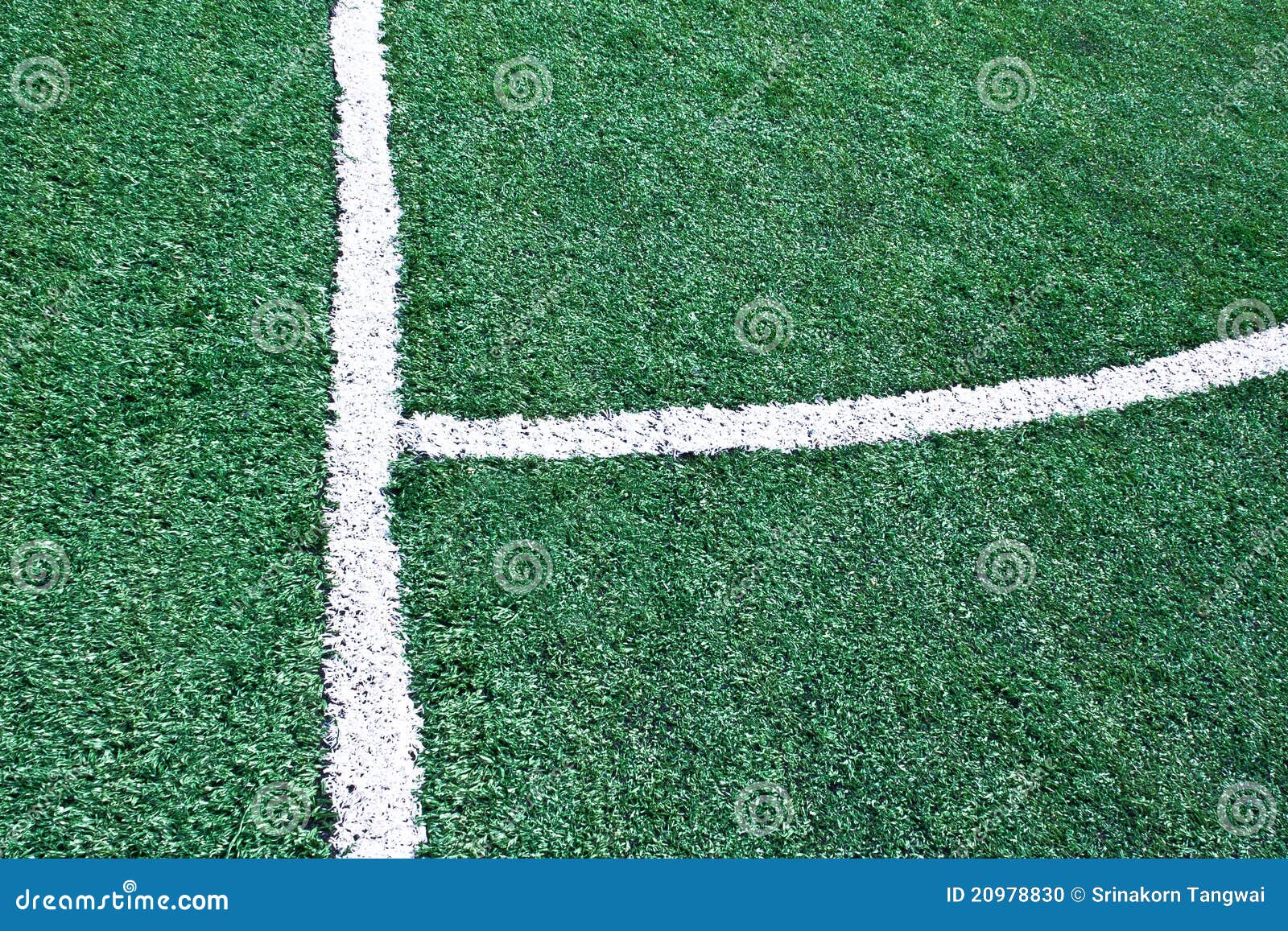 Fake grass soccer field stock photo. Image of arena, pasture - 20978830