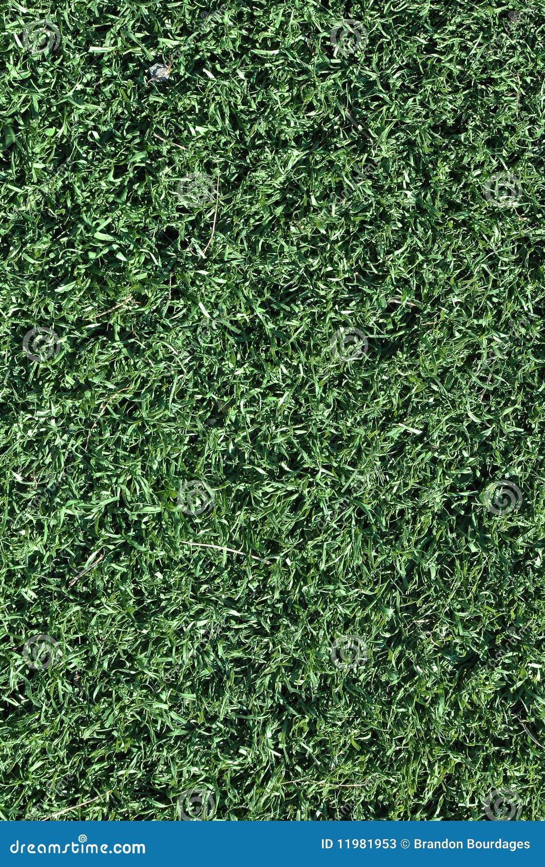Fake Grass Background Royalty-Free Stock Photography | CartoonDealer ...