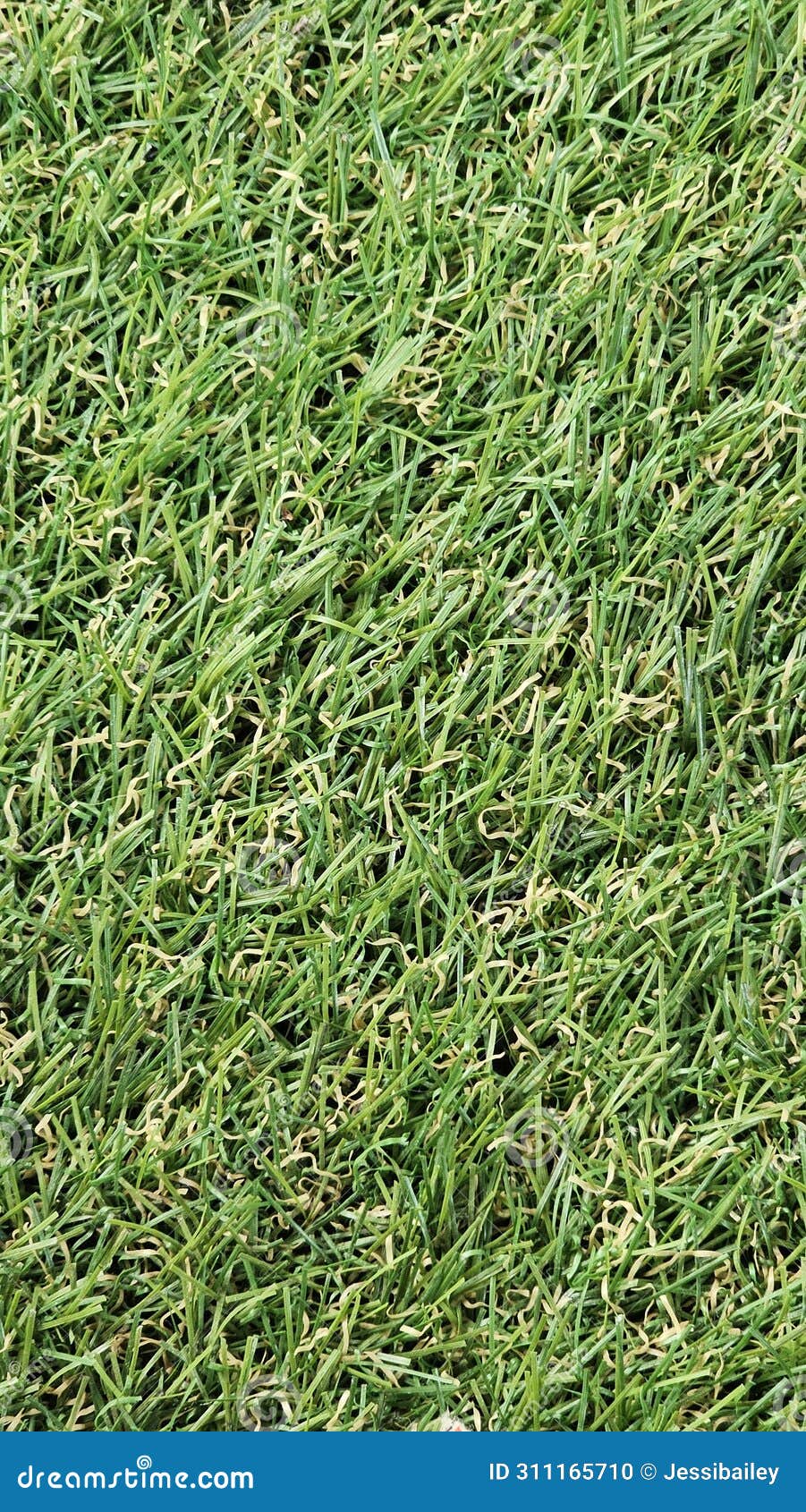 Fake Grass wallpaper stock photo. Image of nature, grass - 311165710
