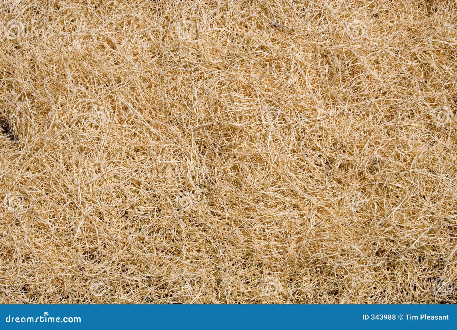 Fake hay background stock photo. Image of cushion, artificial - 343988