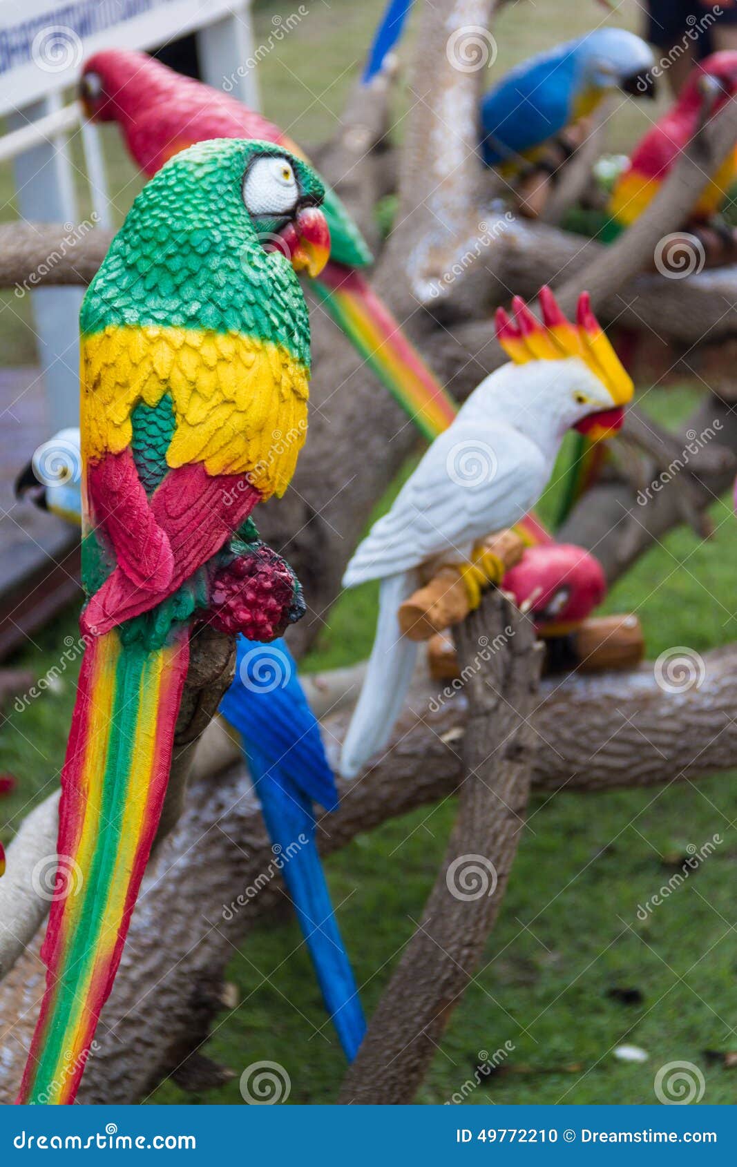 Fake parrots statue stock photo. Image of bird, exotic - 49772210