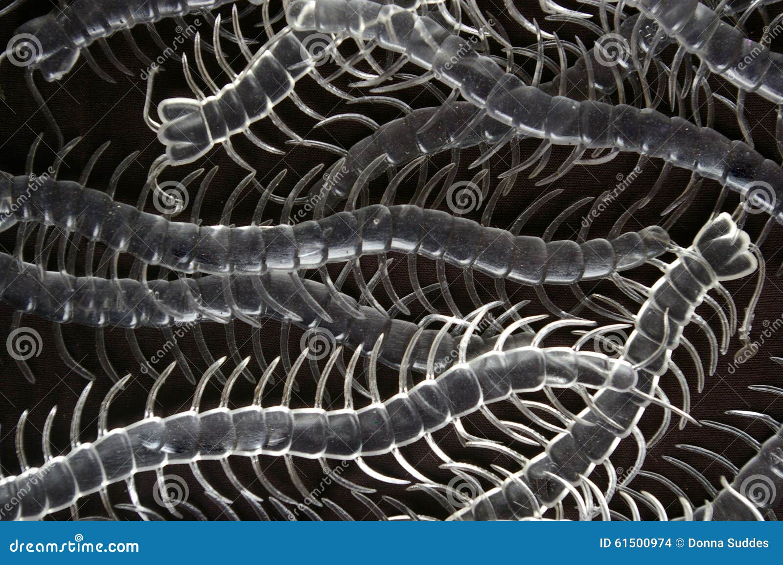 The Texture Of Centipede Pattern Mud Terrain Tire Royalty-Free Stock ...