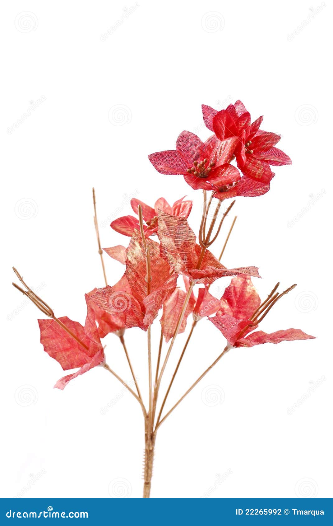 Fake Red Flowers stock photo. Image of homemade, christmas - 22265992
