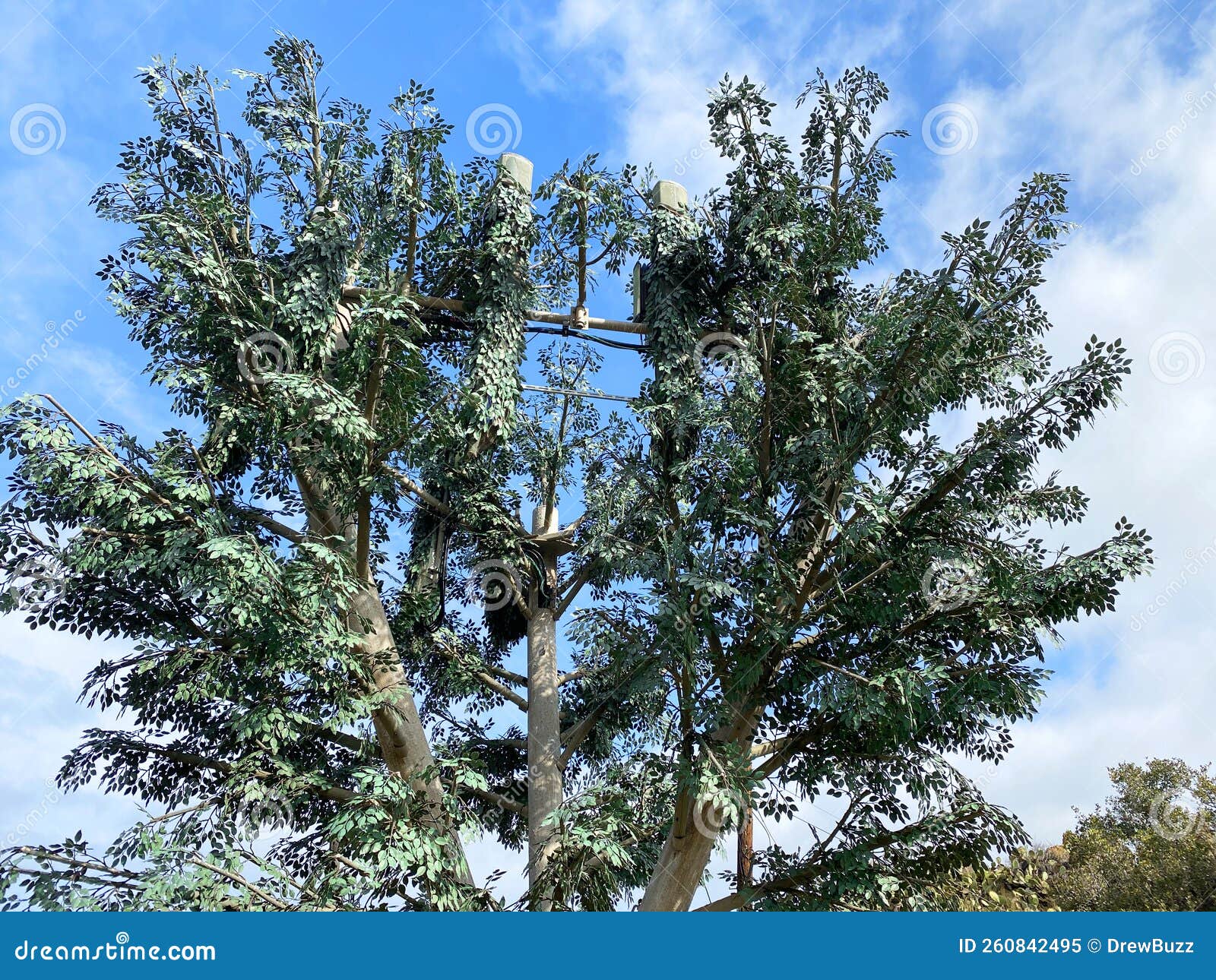 Fake Satellite Mobile Cell Artificial Tree Tower Network Telecom ...