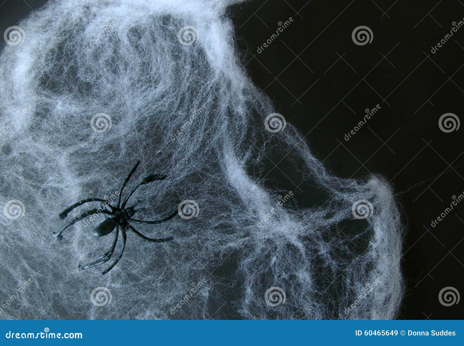 Fake Spider Web As Halloween Decor In Black And White Royalty-Free ...