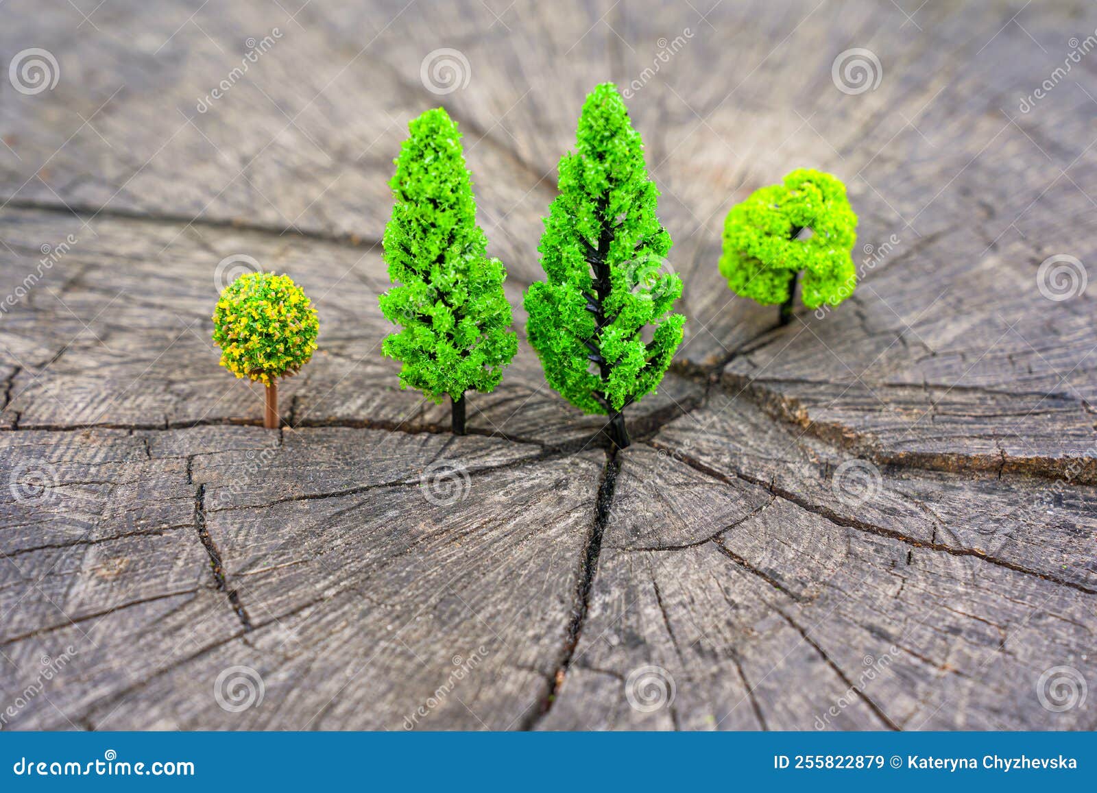 Fake Toy Trees Placed on a Large Tree Stump Stock Image - Image of ...