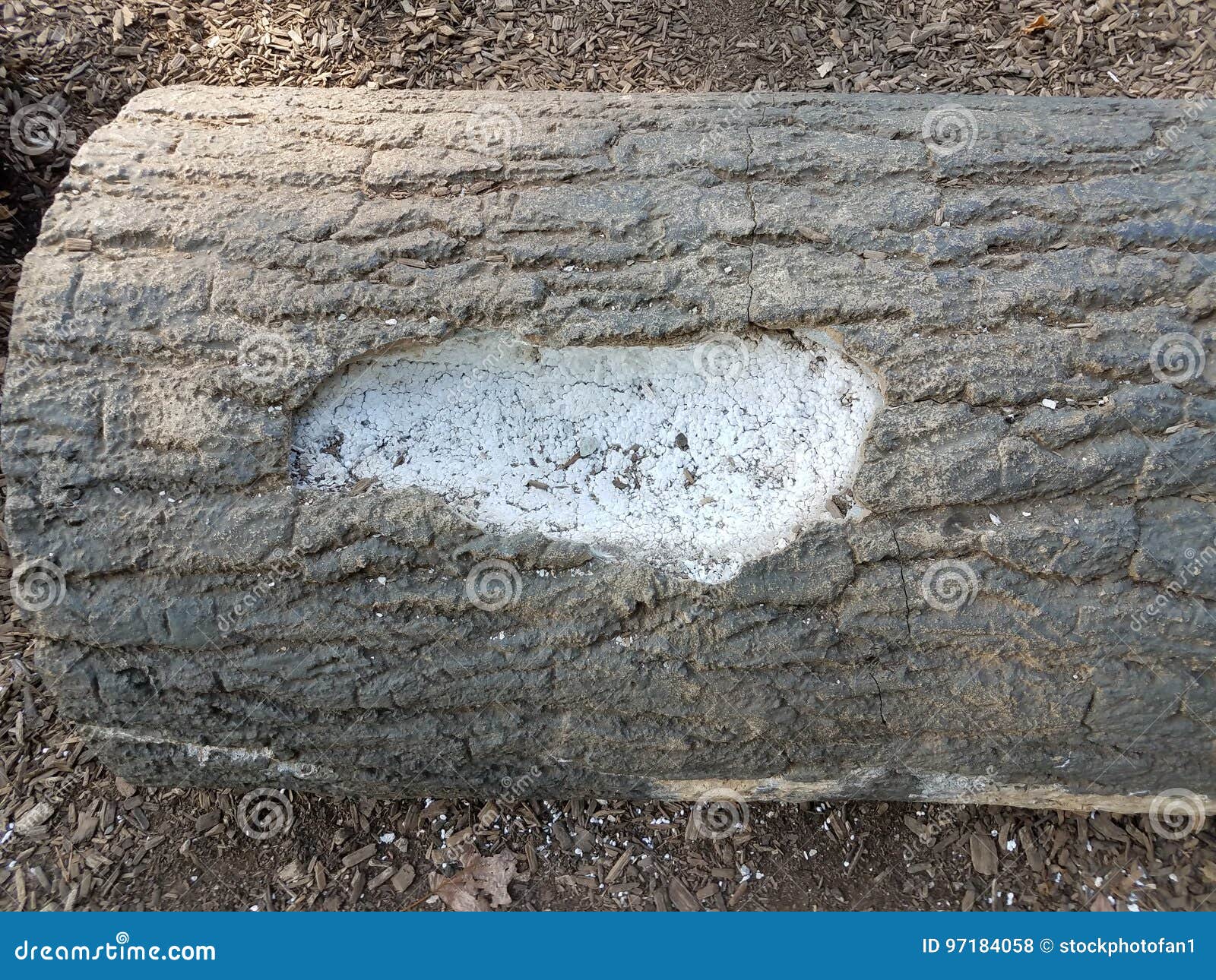 Fake Tree Trunk with White Foam Material Inside Stock Photo - Image of ...