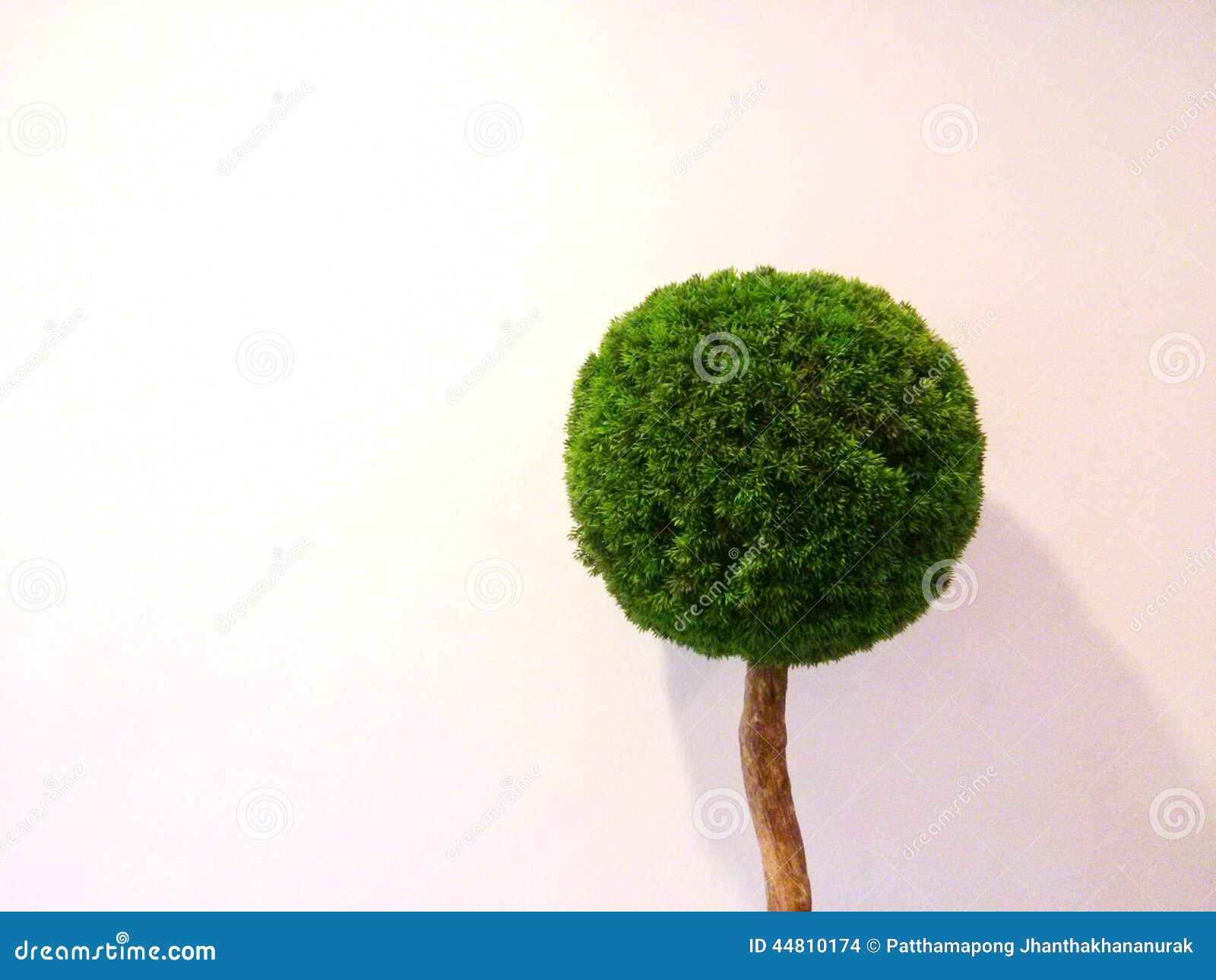 Fake tree and white wall stock photo. Image of tree, wall - 44810174