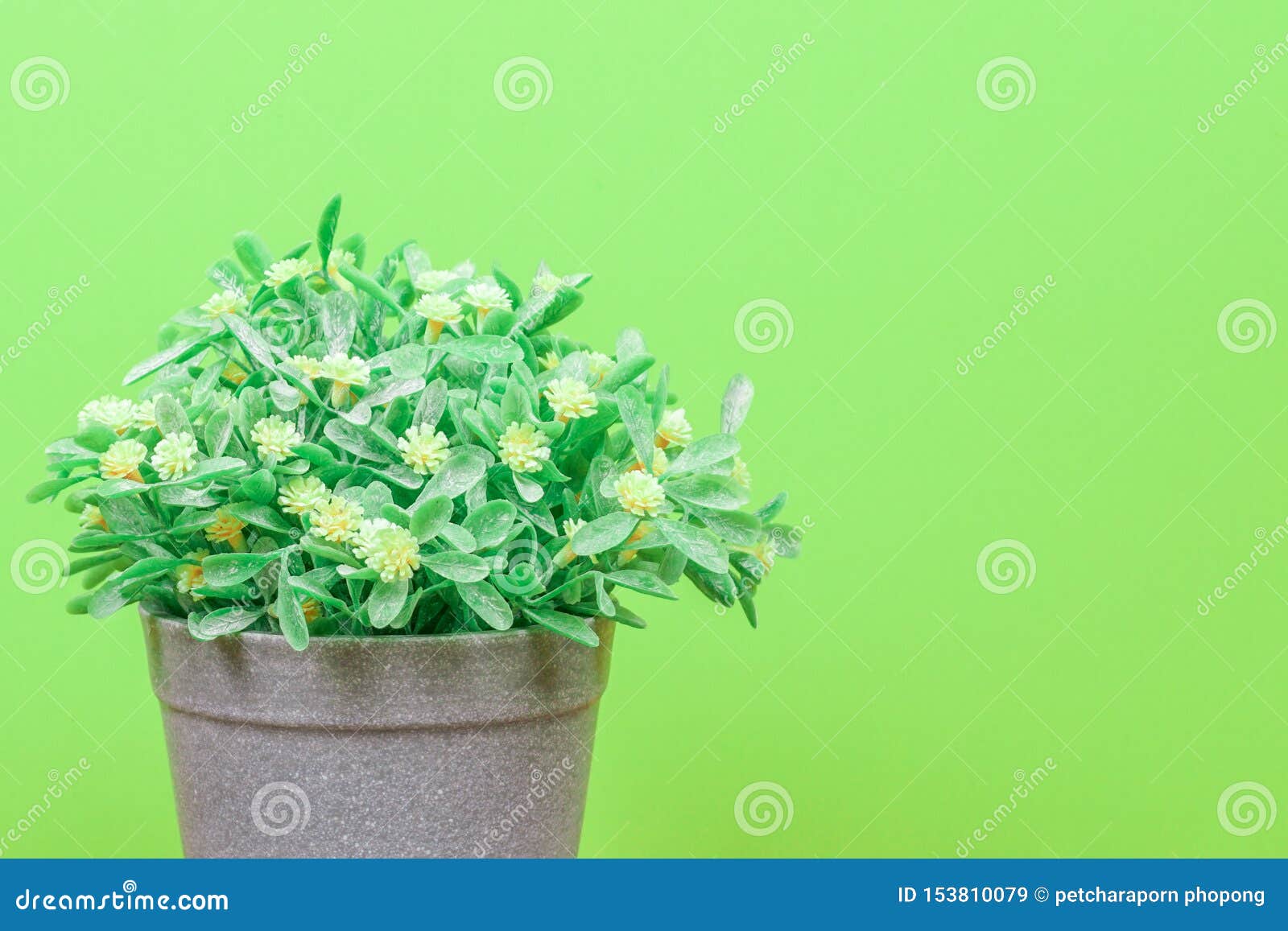 Fake Trees On A Wooden Table And Pink Background Royalty-Free Stock ...