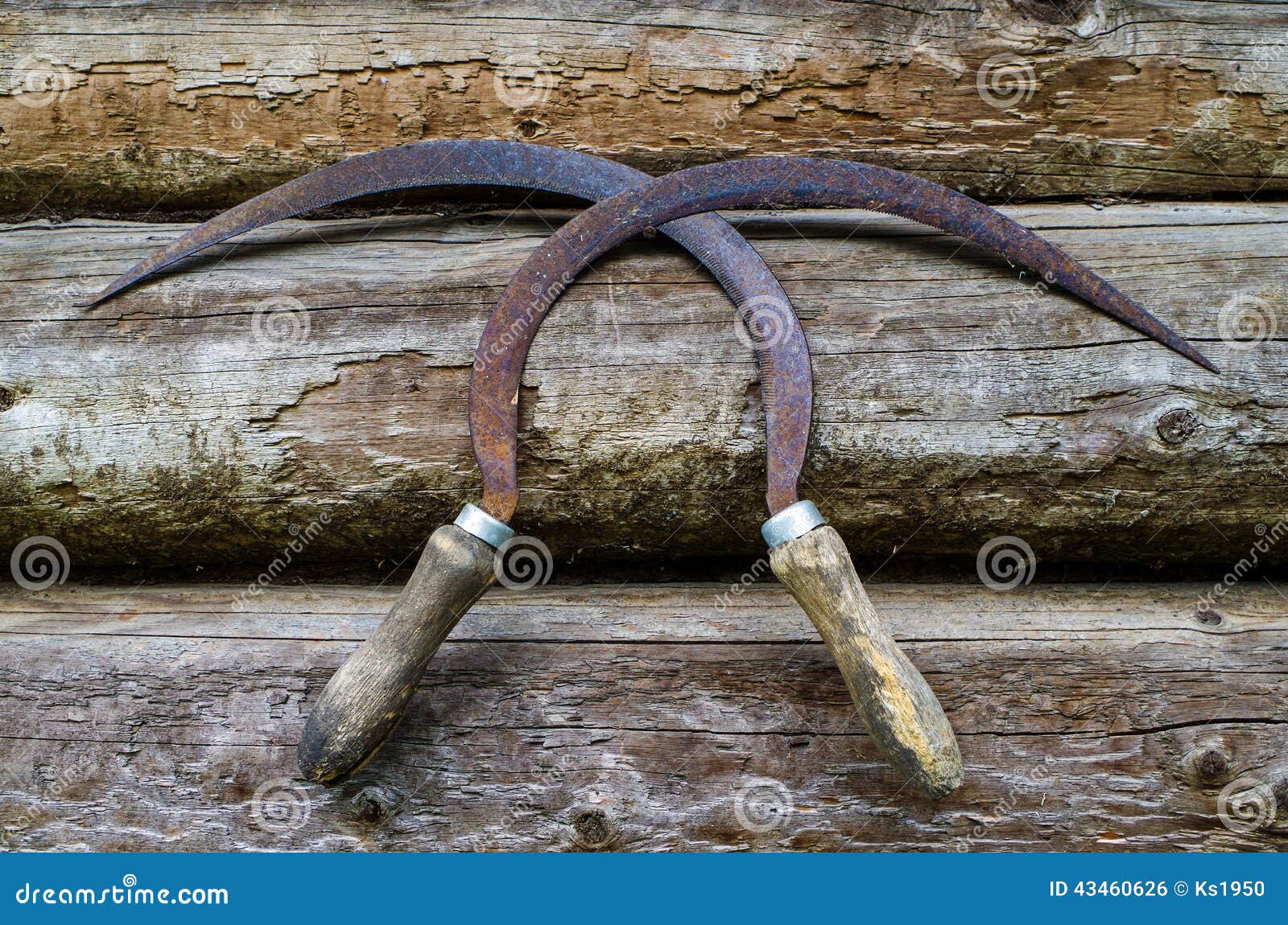 Falci fotografia stock. Immagine di diventato, parete - 43460626