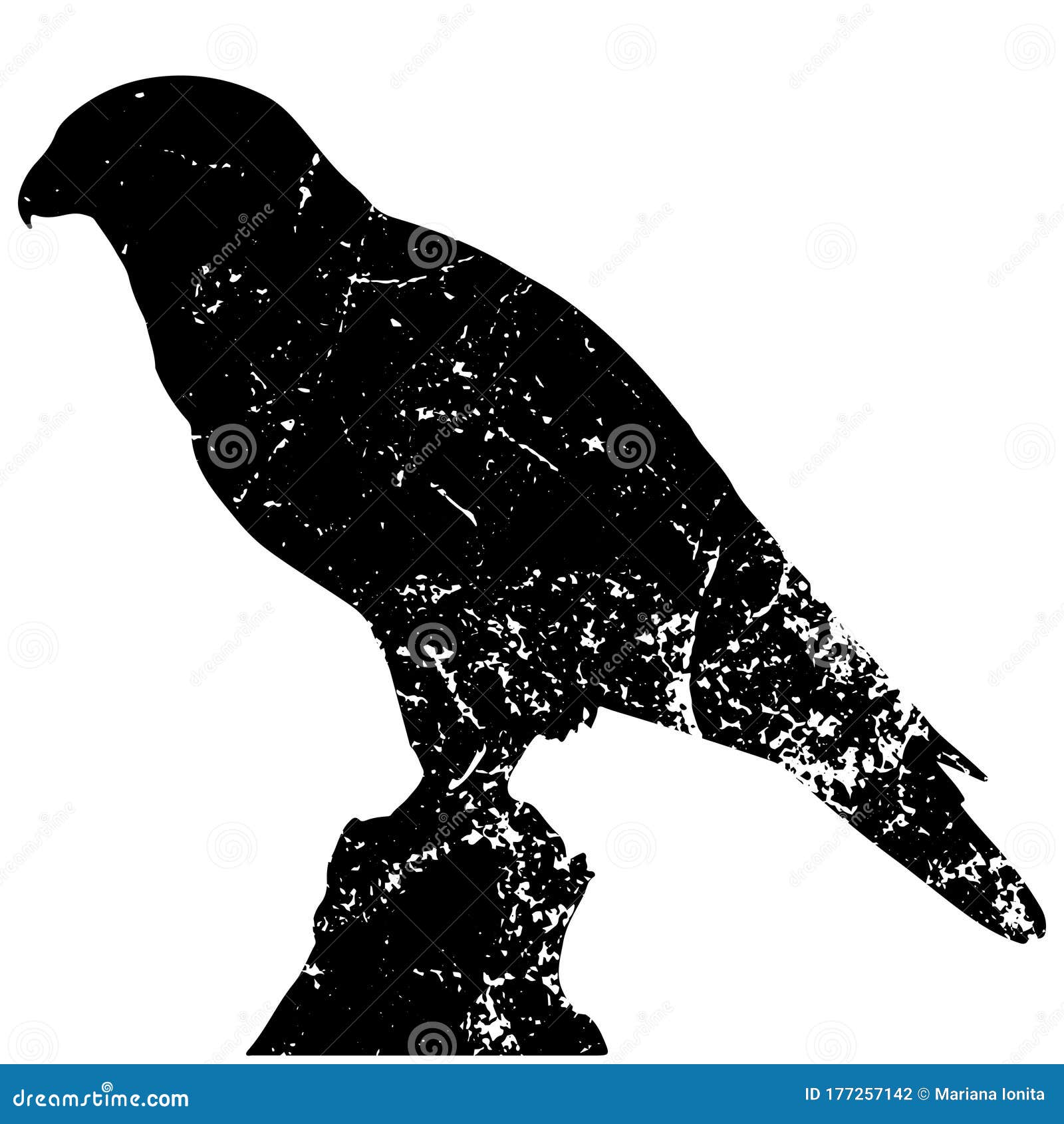 Falcon Silhouette Grunge Texture Stock Vector - Illustration of ...
