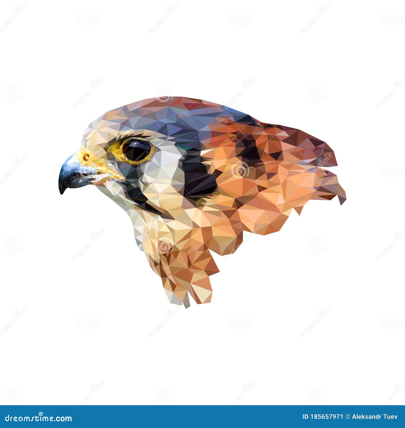 Vector Triangulation of a Falcon Head Close-up on Whit Background.Made ...
