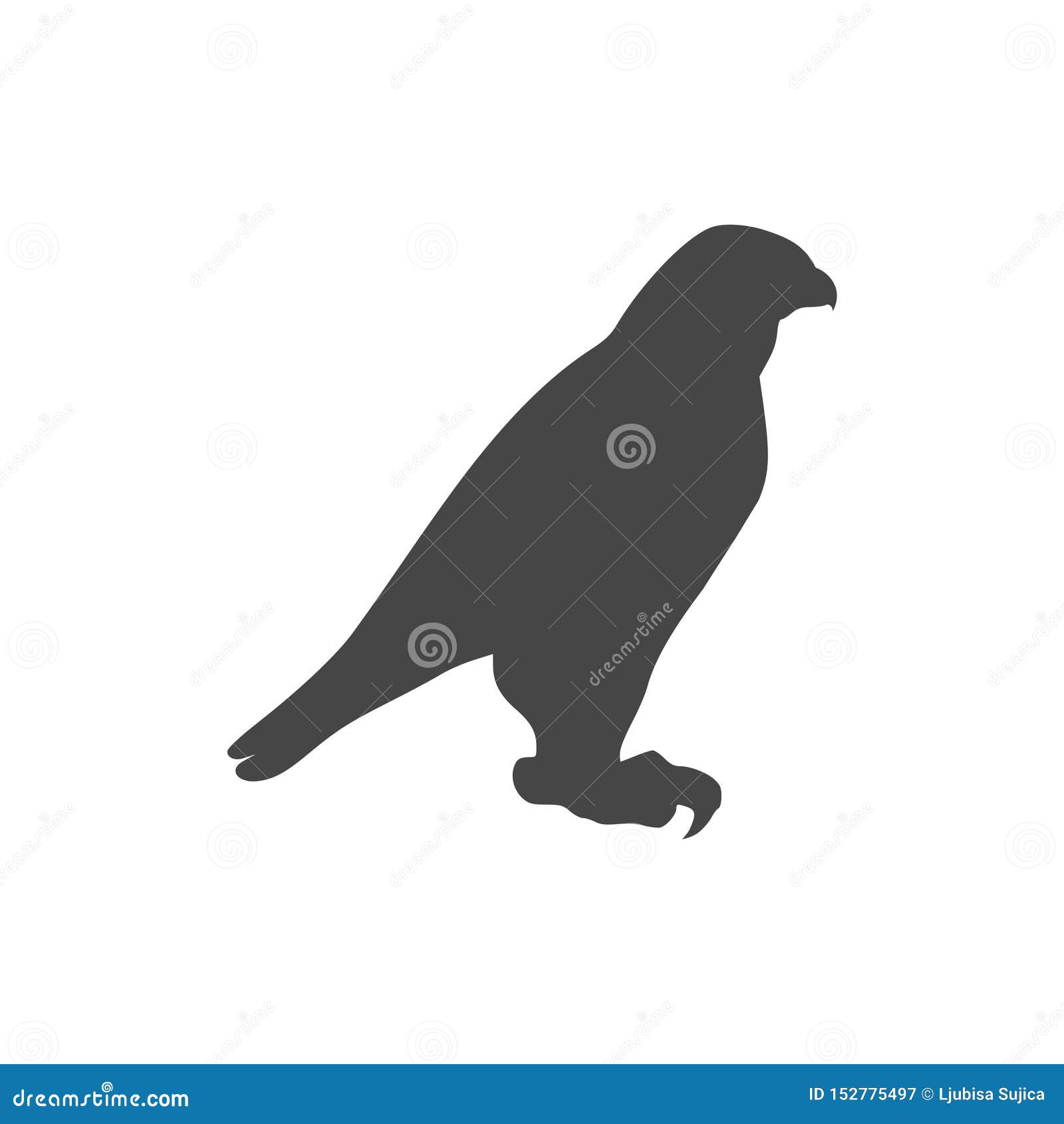 Falcon bird icon stock vector. Illustration of arms - 152775497