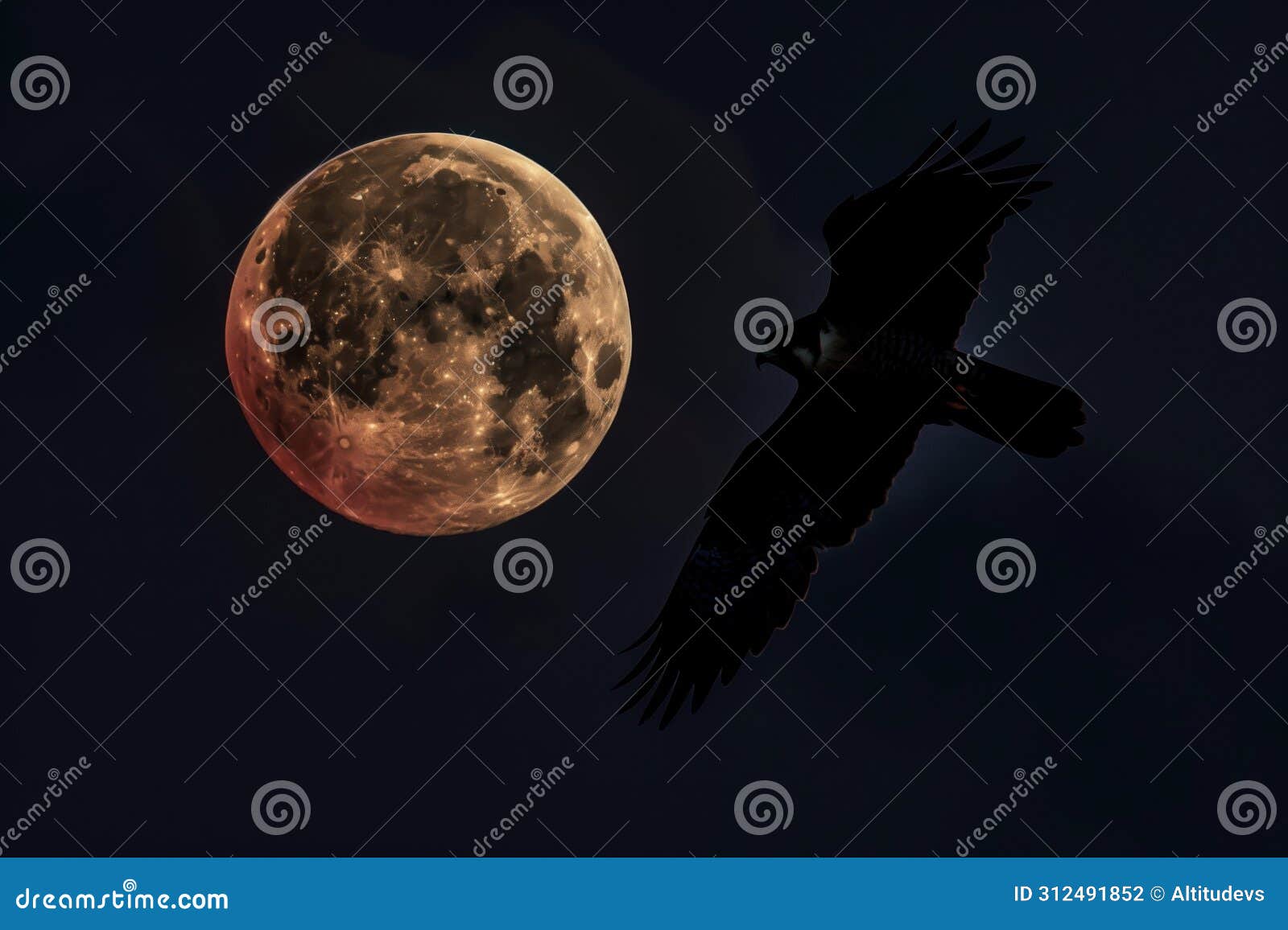 Falcon Crossing the Full Moon in Night Sky Stock Photo - Image of night ...