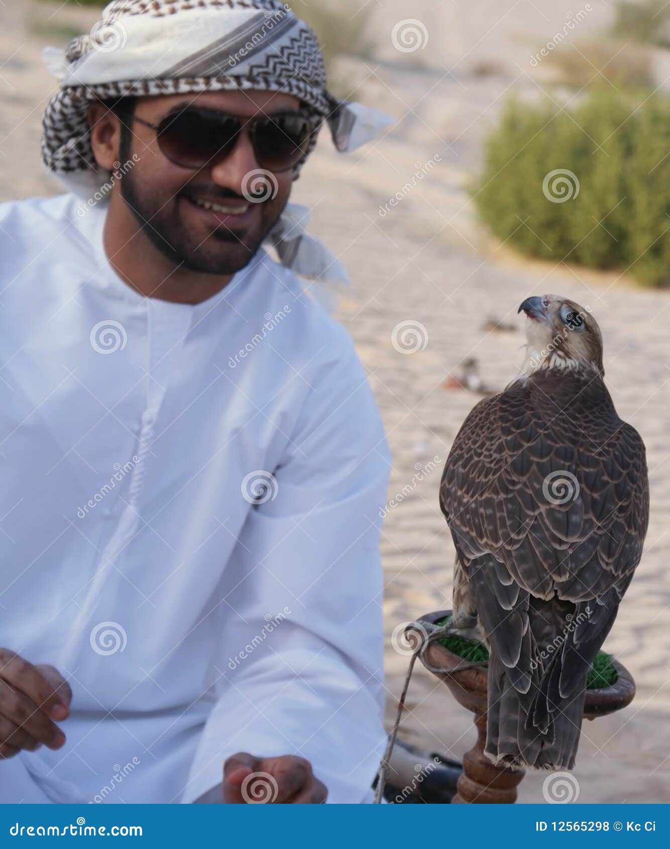Falcon, falconry, falconer stock photo. Image of animals - 12565298
