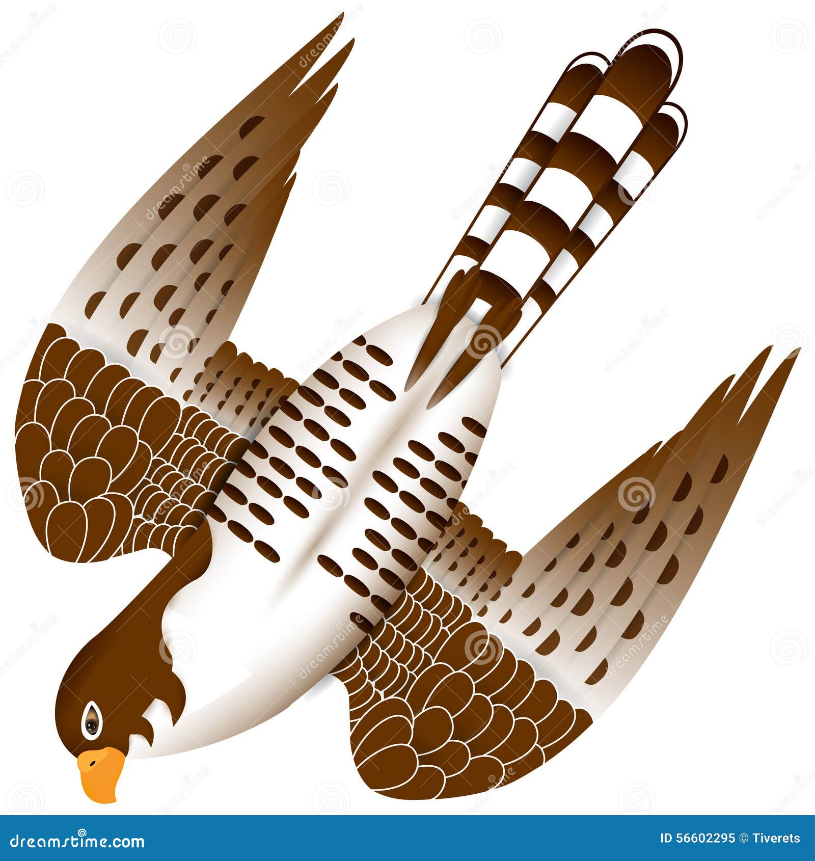 Falcon in flight stock vector. Illustration of head, black - 56602295