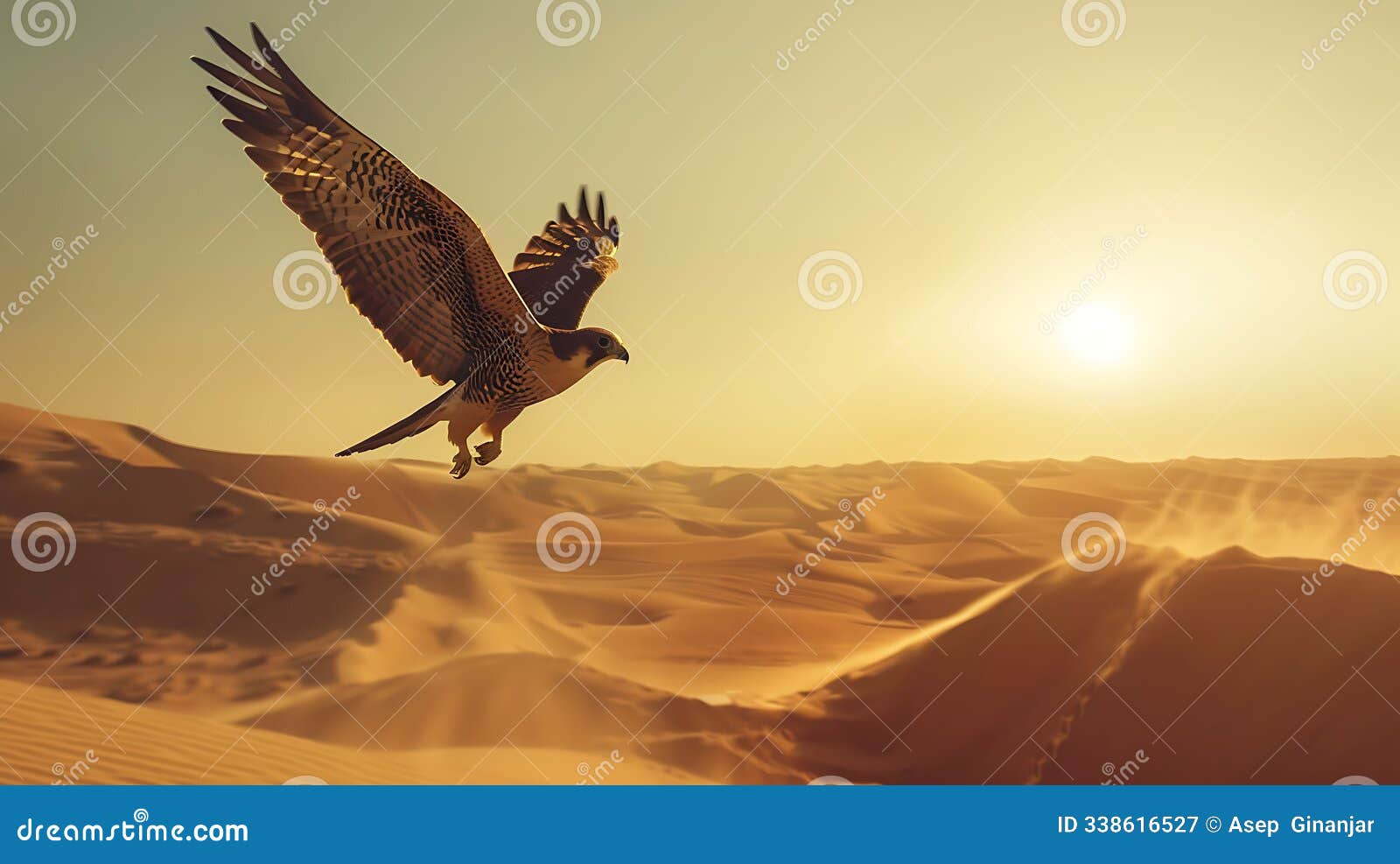 Falcon Flying Over Open Desert Stock Illustration - Illustration of ...