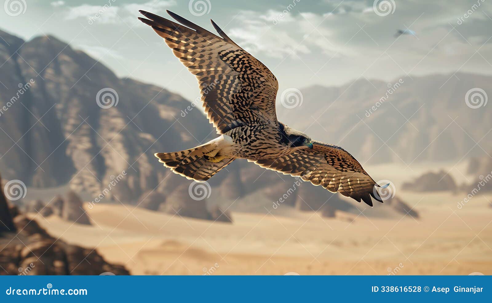 Falcon Flying Over Open Desert Stock Illustration - Illustration of ...