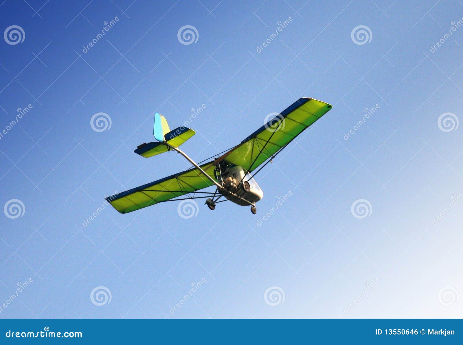 Falcon Gliding Green stock photo. Image of motion, flying - 13550646