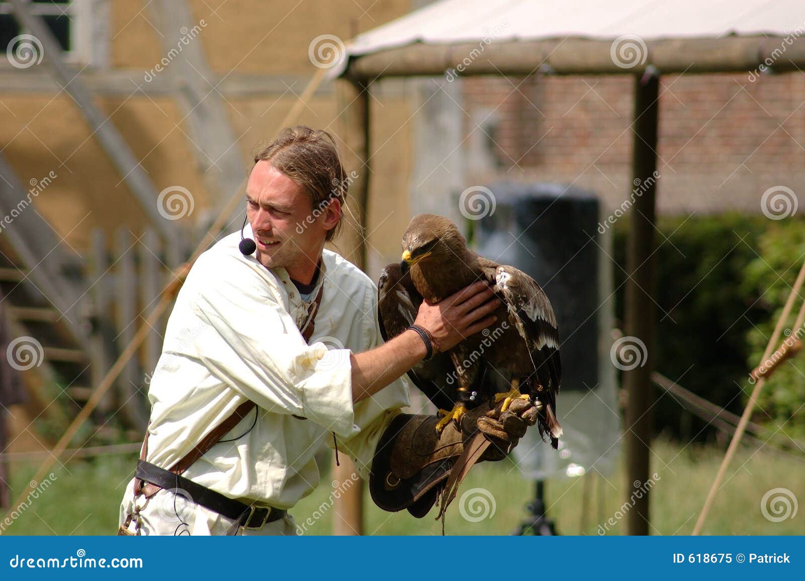 Falcon, hawk trainer. stock image. Image of speak, predator - 618675