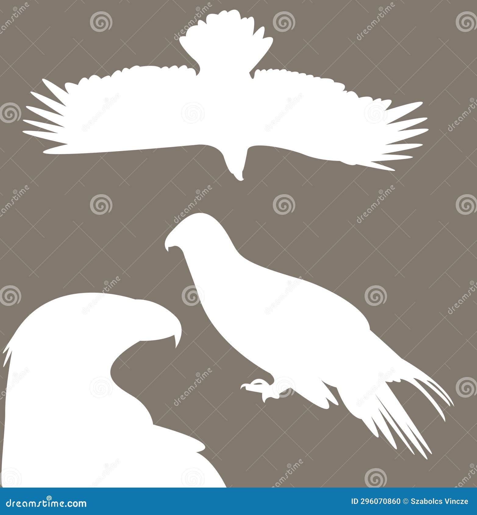 Falcon icon stock vector. Illustration of mammal, silhouette - 296070860