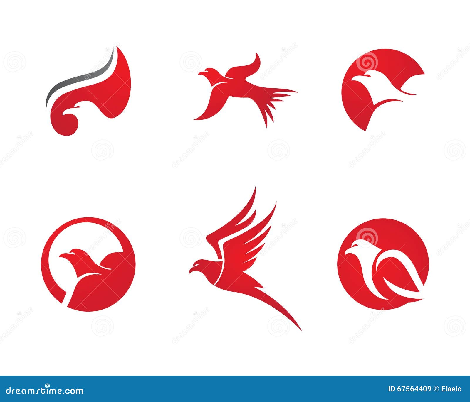 Falcon Logo Template stock vector. Illustration of graphics - 67564409