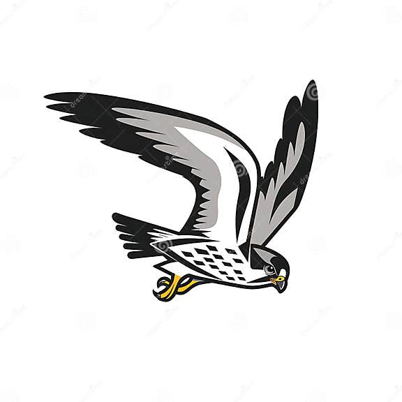 Falcon in Mid Dive logo stock vector. Illustration of element - 329213788