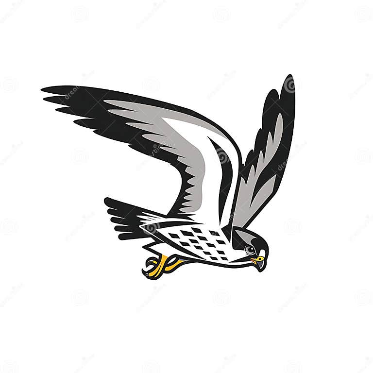 Falcon in Mid Dive logo stock vector. Illustration of element - 329213788