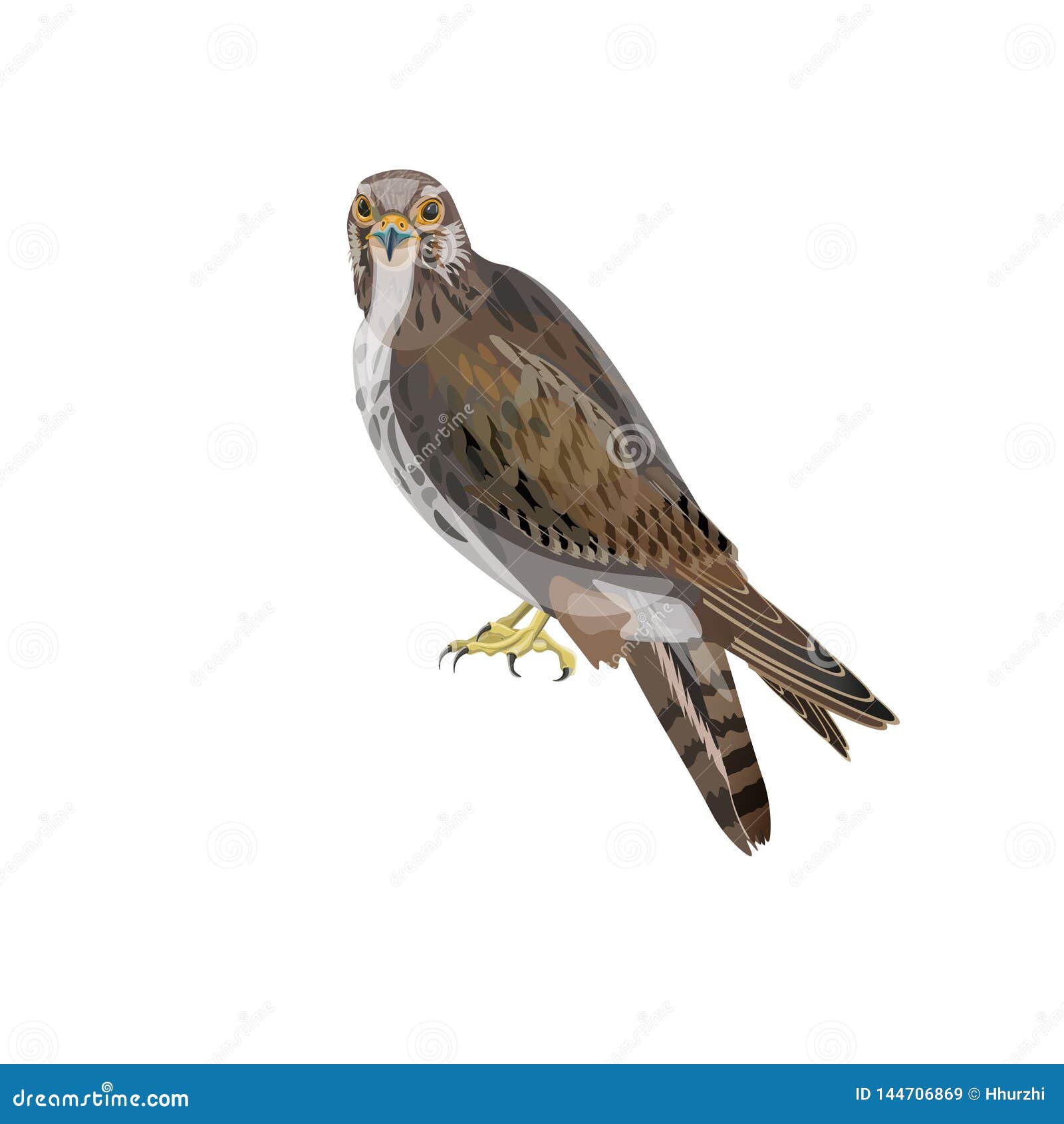 Falcon vector illustration stock vector. Illustration of arabian ...