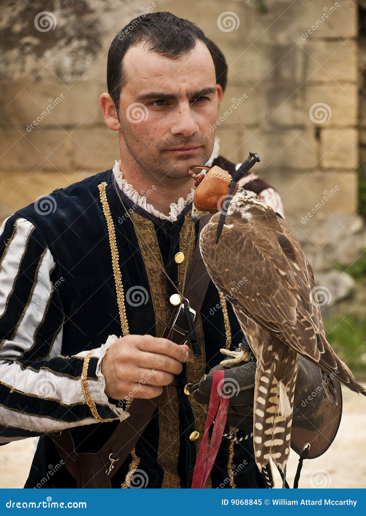 Falconeer immagine editoriale. Immagine di tunica, cavaliere - 9068845