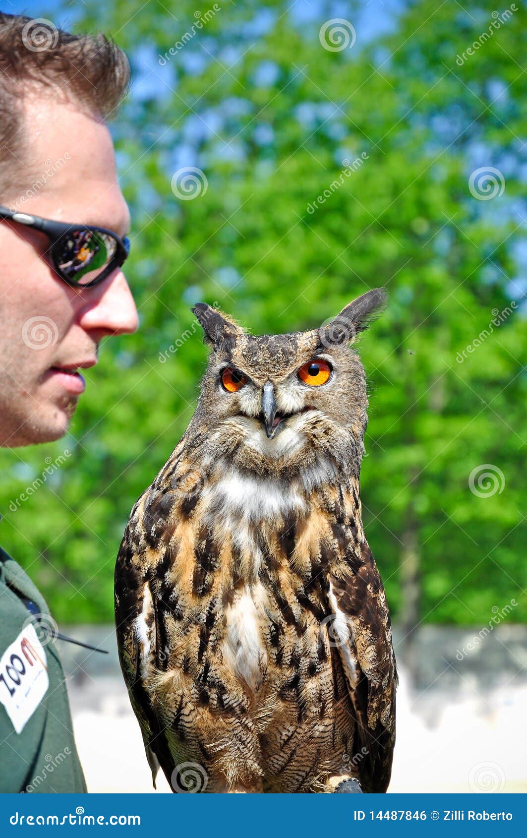Falconer Takes an Owl on His Gauntlet Editorial Photo - Image of people ...
