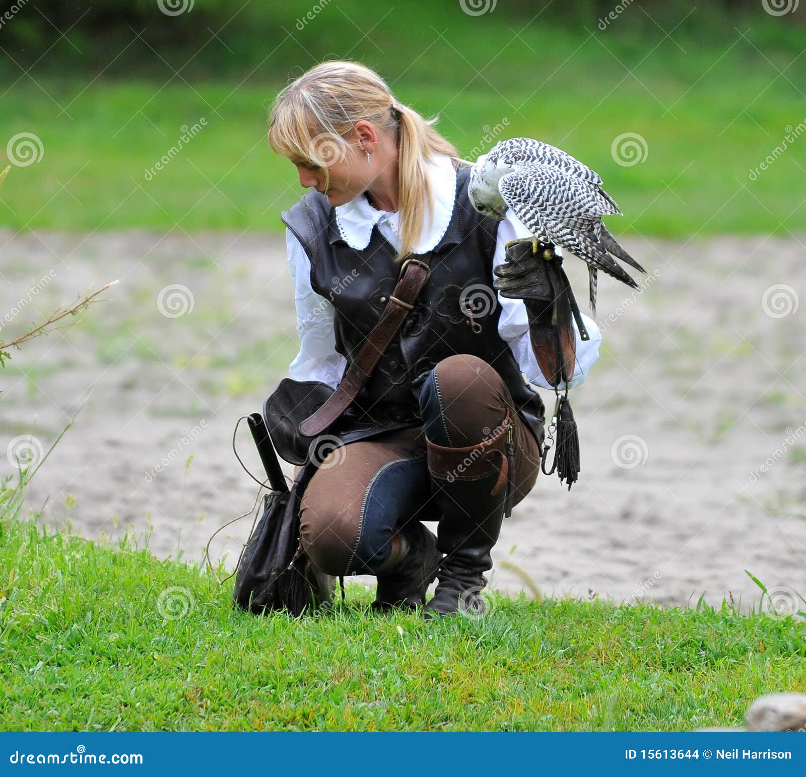 Falconiere della donna immagine stock editoriale. Immagine di ...