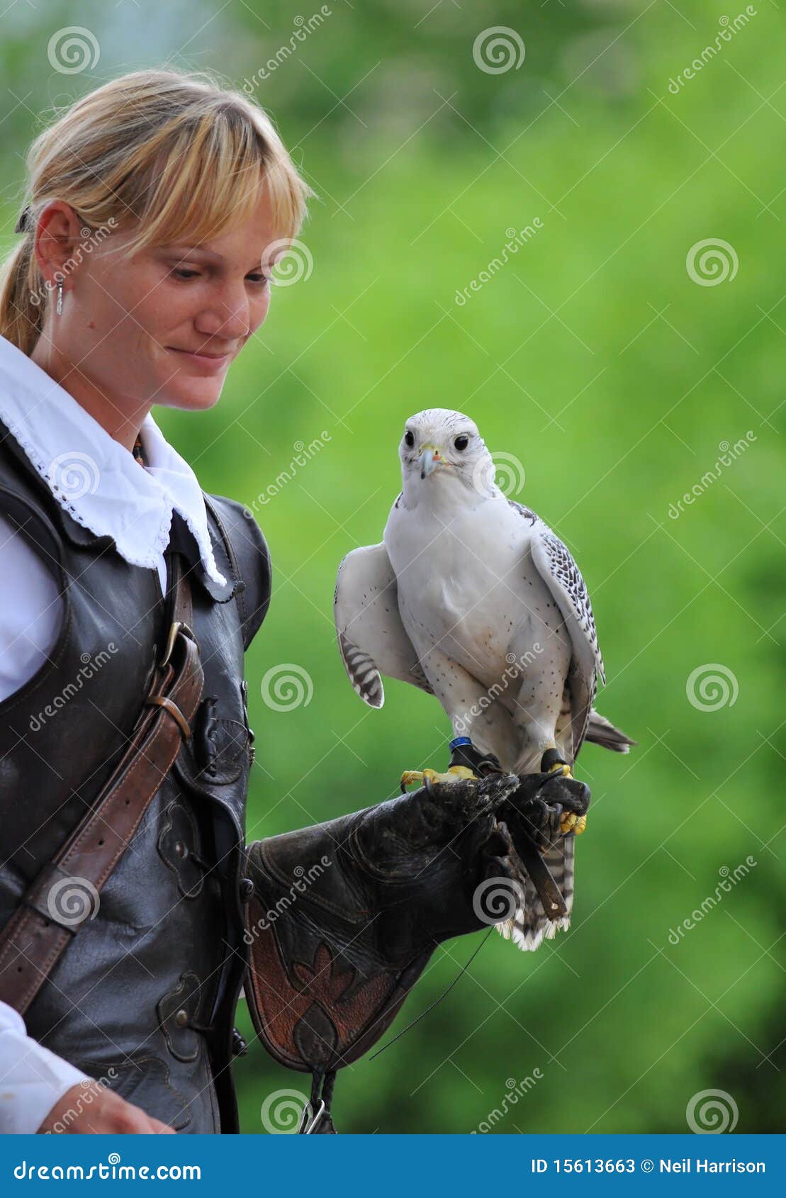 Falconiere della donna fotografia stock editoriale. Immagine di preda ...