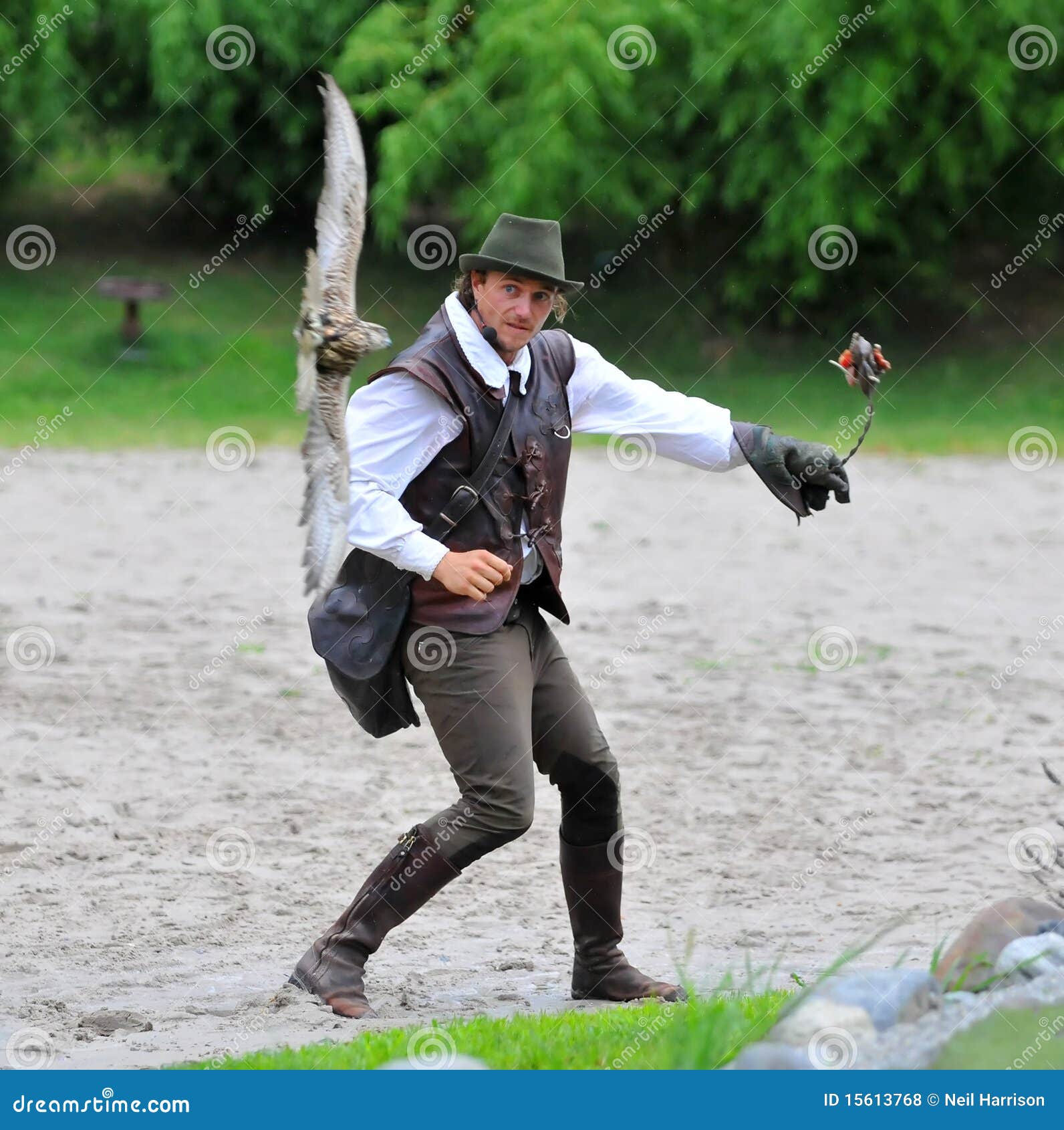 Falconry editorial stock photo. Image of maggiore, chase - 15613768