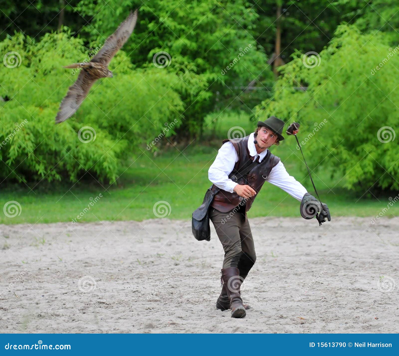Falconry editorial image. Image of coordination, lure - 15613790