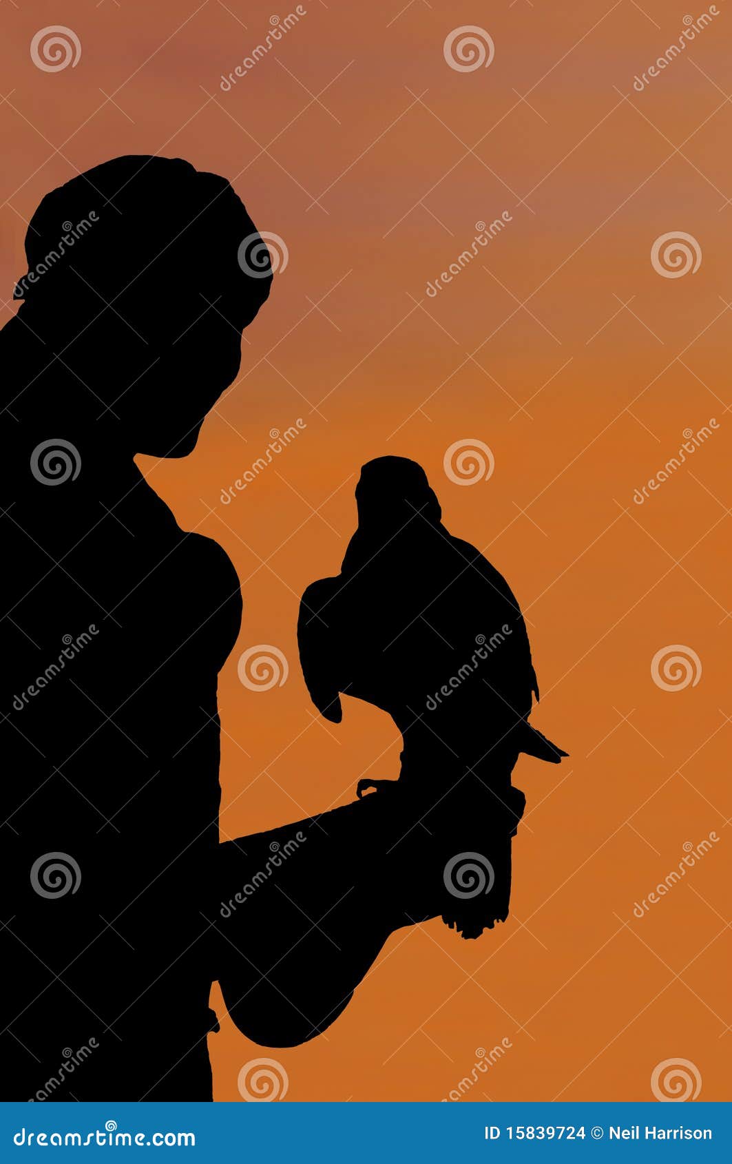 Falconry With Silhouette Attacking Hawk Vector Logo. Majestic Black ...