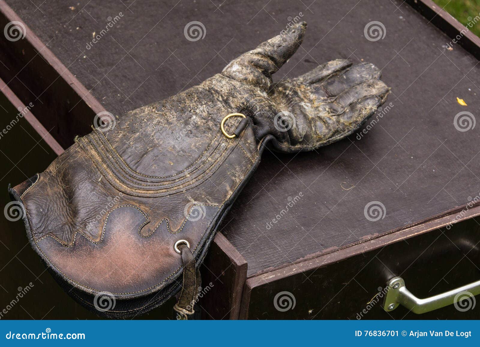 Falconry Gauntlet stock image. Image of prey, hawking - 76836701