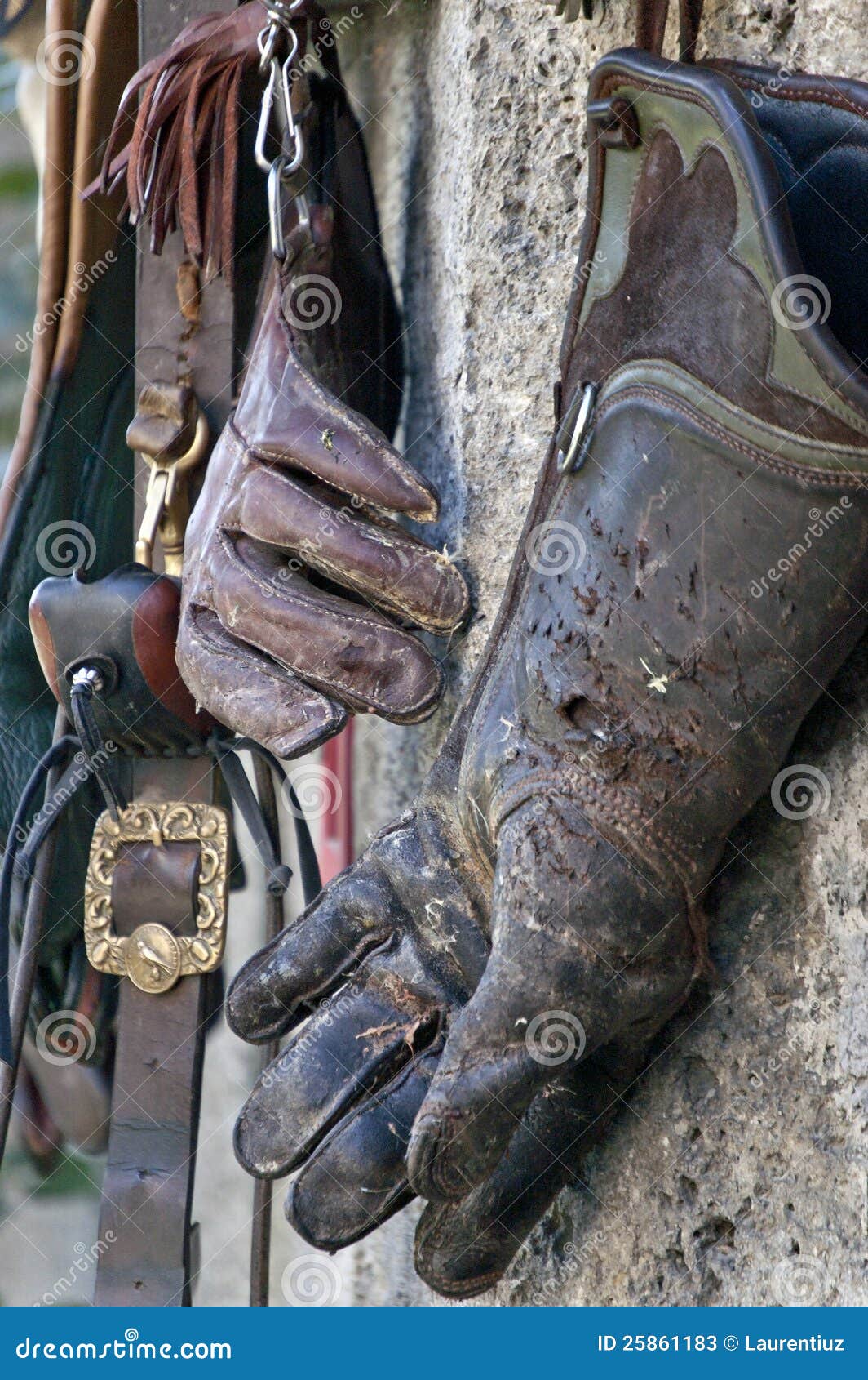 Falconry gloves stock image. Image of education, huntsman - 25861183