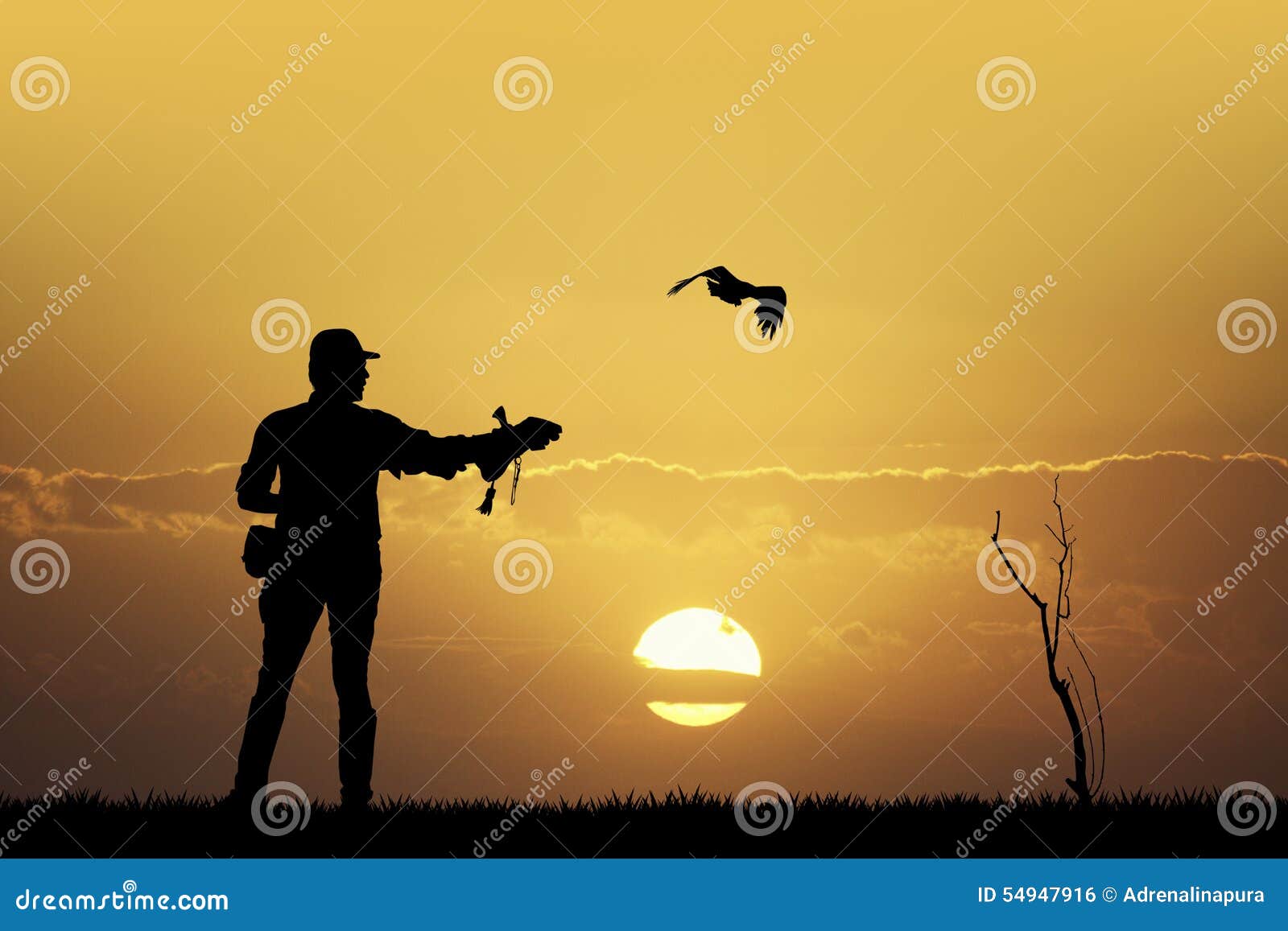 Falconry With Silhouette Attacking Hawk Vector Logo. Majestic Black ...