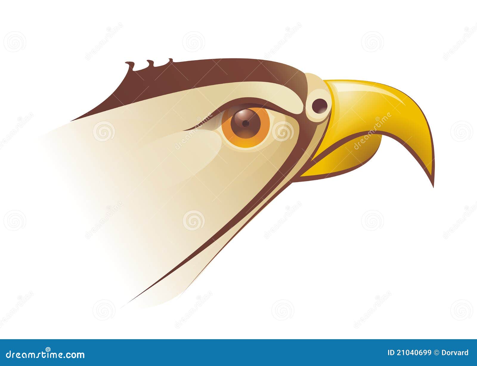 Falconers Stock Illustrations – 1 Falconers Stock Illustrations ...