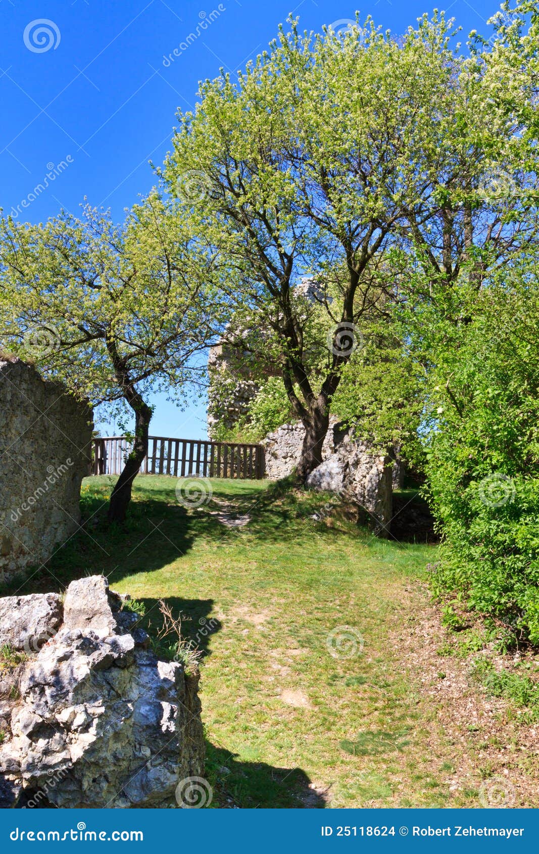 Falkenstein Castle Ruins, Lower Austria Stock Photo - Image of ages ...