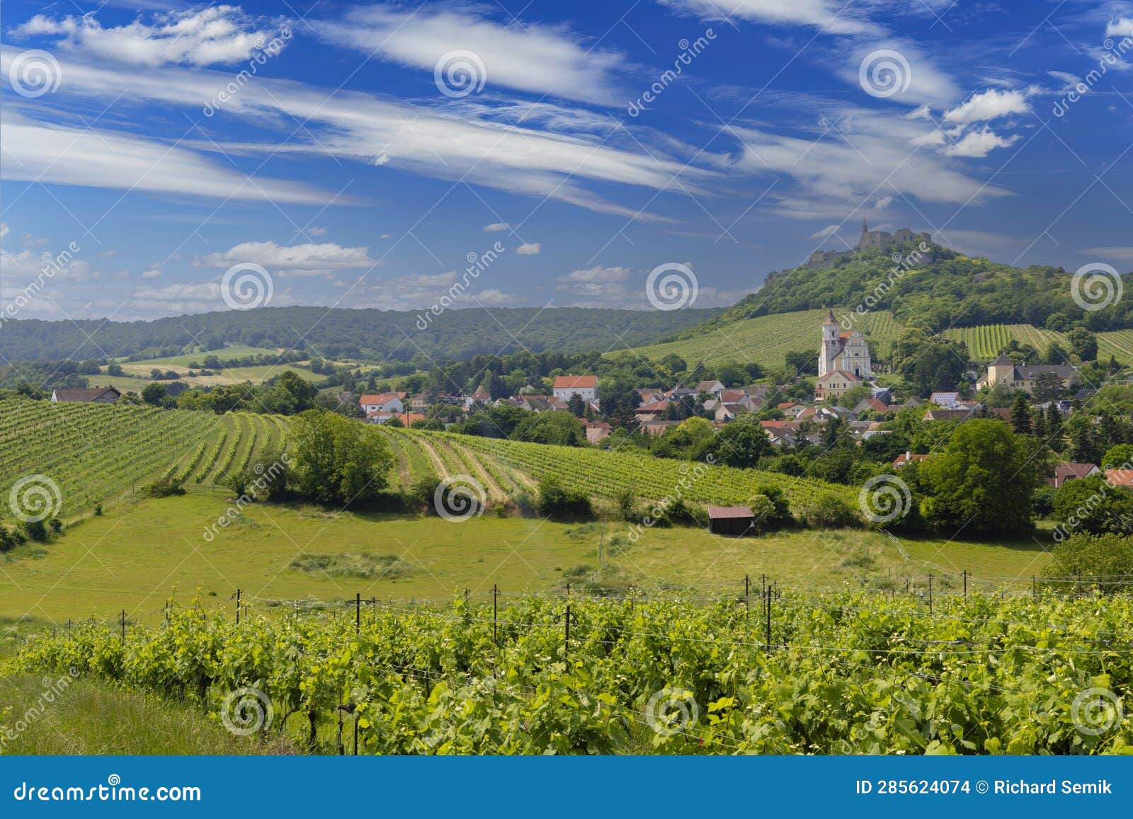 Falkenstein Ruins and Town with Vineyard, Lower Austria, Austria Stock ...